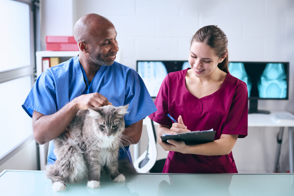 Veterinarians | Beacon Locum